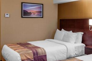 Quality Hotel & Suites, Gander – Updated 2023 Prices