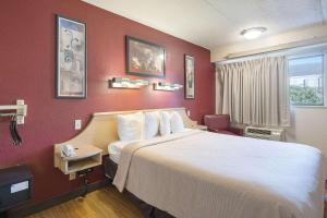Rodeway Inn Tampa near Busch Gardens-USF, Tampa (updated prices 2025)
