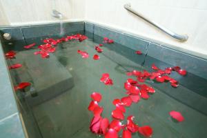 Fujiyeh Chipen Hot Spring Resort, Wenquan