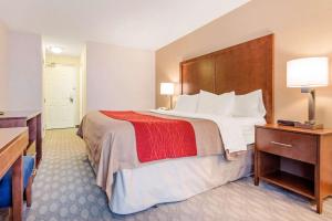 Comfort Inn Fallsview, Niagara Falls (updated prices 2025)