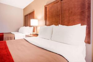 Comfort Inn Fallsview, Niagara Falls (updated prices 2025)