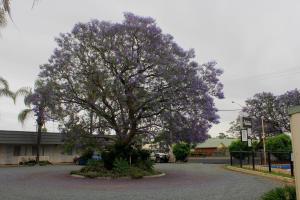 Aromet Motor Inn, Temora (updated prices 2025)