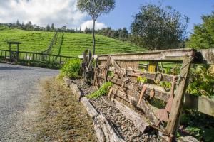 JunoHall Backpackers, Waitomo Caves (updated prices 2025)