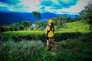 Simpson's Forest Hotel, Kandy – Updated 2023 Prices