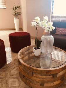 Regal Inn Hotel Midrand, Midrand (updated prices 2025)