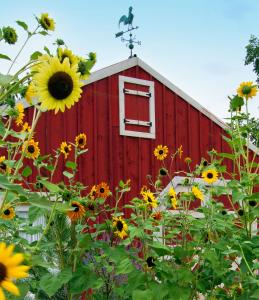 Sunflower Hill Inn, Moab (updated prices 2025)