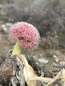 The Retreat at Groenfontein, Calitzdorp (updated prices 2025)