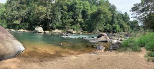 Polwaththa Eco Lodges, Digana (updated prices 2025)