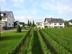 Ferienweingut-Liebfried, Nehren (aktualisierte Preise für 2025)