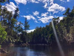 Lemonthyme Wilderness Retreat, Moina (updated prices 2025)