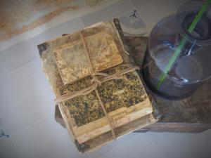 Nisea, Polignano a Mare – Updated 2024 Prices