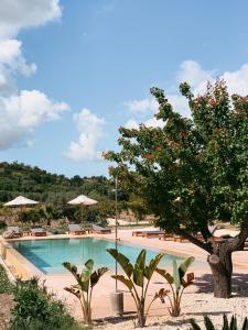 IUTA Glamping & Farm, Noto – Updated 2024 Prices