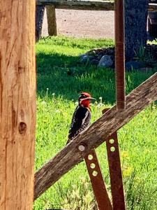 Buffalo Valley Ranch, Moran (updated prices 2025)