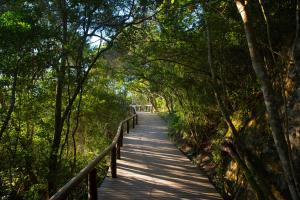 Simola Hotel, Country Club & Spa, Knysna (updated prices 2025)