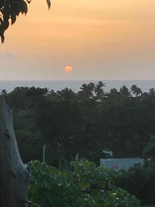 Ali-Naïs Location, Deshaies (updated prices 2025)