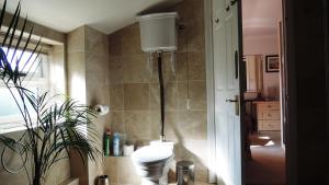 The Georgian House, Watchet (updated prices 2025)