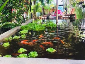 Artist's Place Trat, Trat (updated prices 2025)