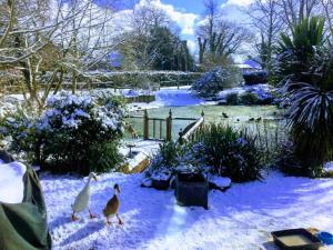 The Pavilion at Brunger House, Tenterden – Updated 2022 Prices