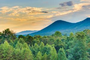 Laurel Creek, Helen (updated prices 2025)