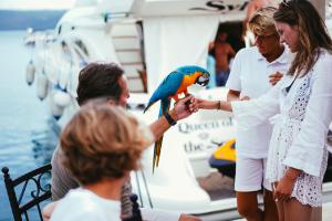 Villa Rava Hotel & restaurant, Rava (updated prices 2025)