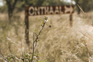 Buffalo Ranch Game Lodge, Groblersdal – Updated 2023 Prices