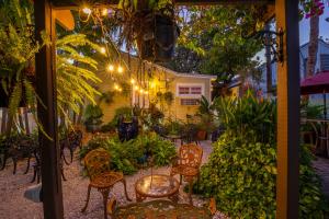 Duval Inn - Key West, Key West (updated prices 2025)