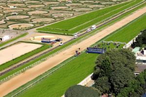 Holiday Inn Bengaluru Racecourse, an IHG Hotel, Bangalore – Updated ...