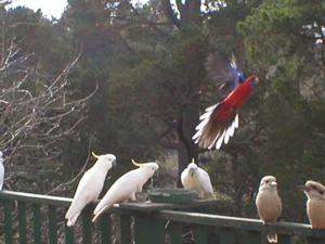 Mooltan House, Hepburn Springs (updated prices 2025)