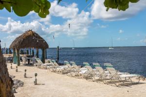 Amoray Dive Resort, Key Largo – Updated 2022 Prices