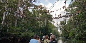 Sukau Backpackers Bed & Breakfast, Sukau (updated prices 2025)