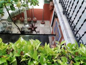 Hotel Reforma, Mérida (precios actualizados 2025)