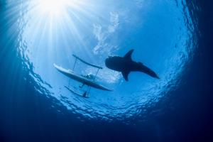 Emoha Dive Resort, Oslob (updated prices 2025)