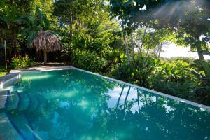 Jungle Lodge at Wild Sun Rescue Center, Cabuya – Aktualisierte Preise ...