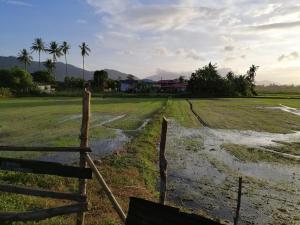 Teriang Village Inn, Kampung Padang Masirat (updated prices 2025)