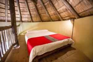 Amphitheatre Backpackers Lodge, Ethels Drive (updated prices 2025)