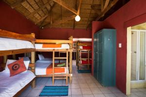 Amphitheatre Backpackers Lodge, Ethels Drive (updated prices 2025)
