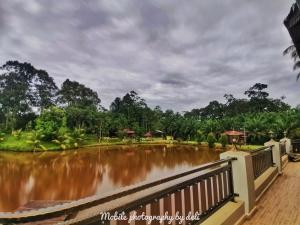 Lang Buana Eco Park, Jerantut – Updated 2023 Prices