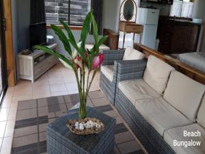 Sunset Palms Rarotonga, Rarotonga (updated prices 2025)