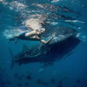 House Rental Banaba Tree, Samboan (updated prices 2025)