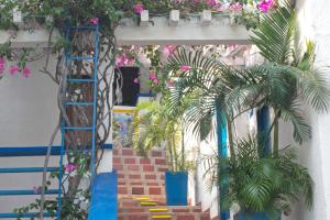 Techos Azules, Taganga (precios actualizados 2025)