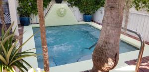 The Artist House, Key West (updated prices 2025)