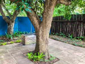 Ingwenya Lodge, St Lucia (updated prices 2025)