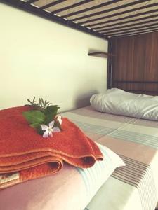 Boho Hostel, San Julián (precios actualizados 2025)