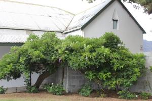 Rooikraal Farm Guesthouse and dam, Prince Alfred Hamlet – Updated 2023 ...