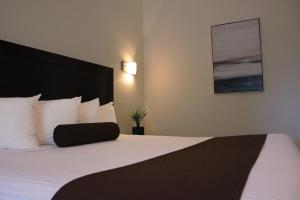 Hotel Del Rio, Navojoa – Updated 2022 Prices