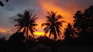 TP Hut Bungalows, Ko Chang (updated prices 2025)