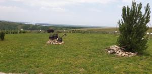 Seven Generations Winery Hotel, Mechka (prețuri actualizate 2025)