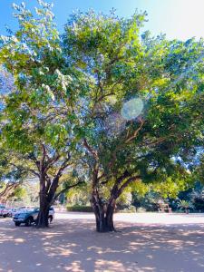 Letaba Junction Lodge, Letsitele – Updated 2022 Prices