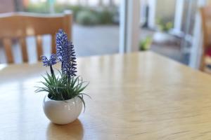 Regal Inn PMBurg, Pietermaritzburg (updated prices 2025)