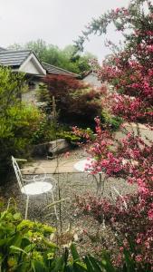 Kilcloon Self Catering Cottages & Studio Rooms, Maynooth – Updated 2022 ...
